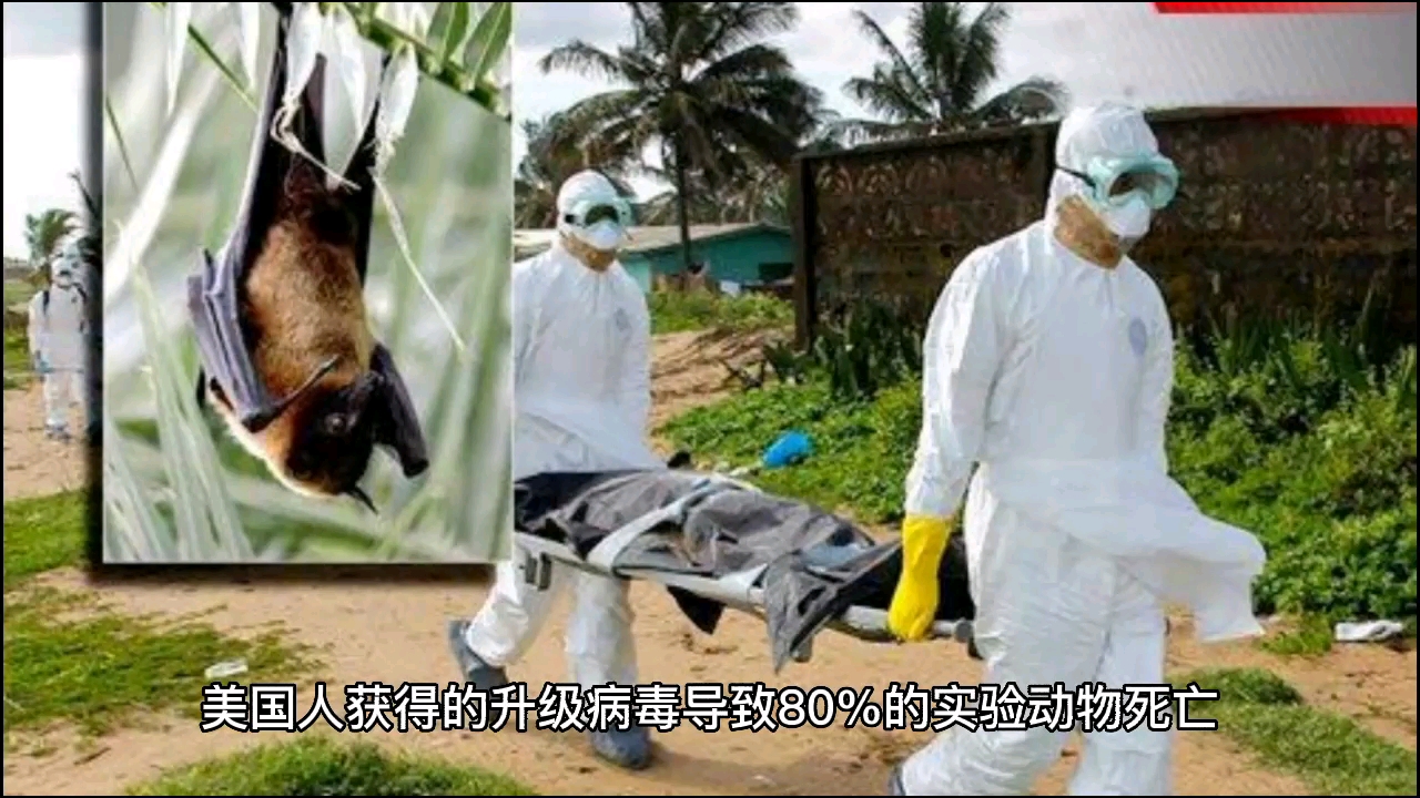 俄罗斯国防部:美国正在增强新冠病毒毒性,致死率80%