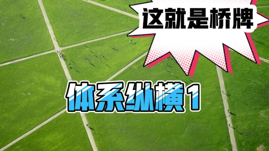 【体系纵横1】关于叫牌体系一一定义、任务及评价方法