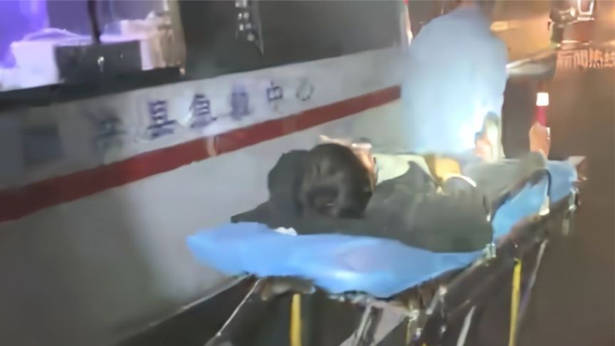 高速宿迁段:大雾笼罩 刹车不及 厢式货车追尾半挂车!