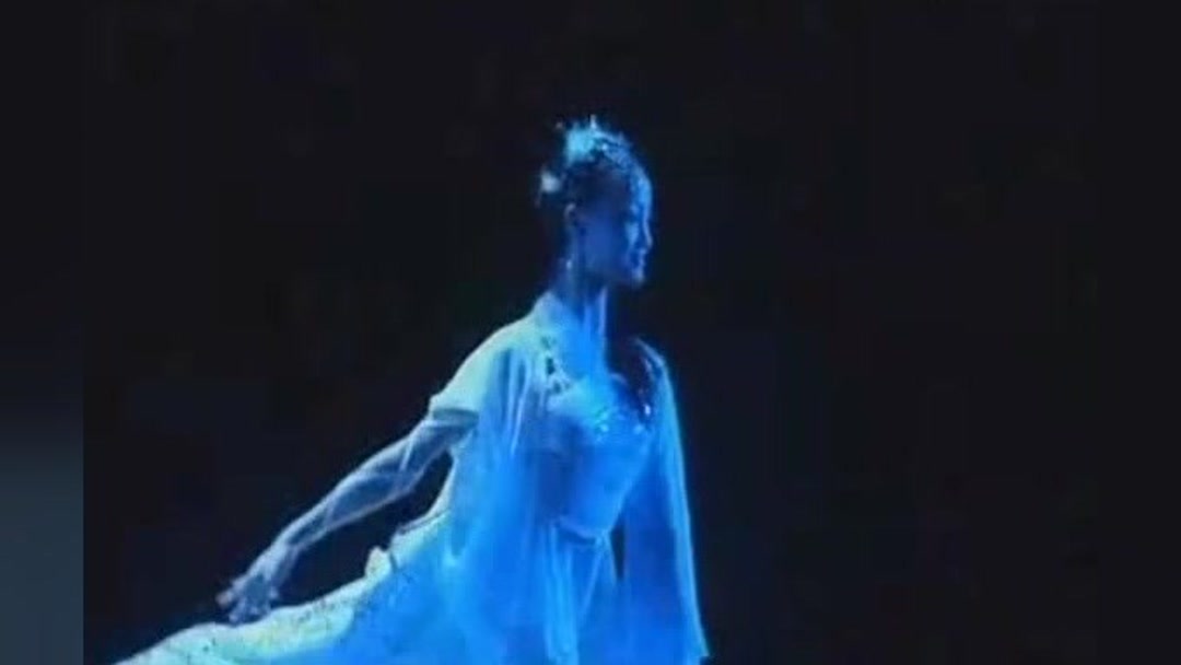 民族舞蹈视频大全-独舞《风》