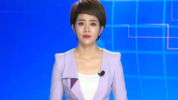 大同区召开加强乡镇服务能力建设工作会议