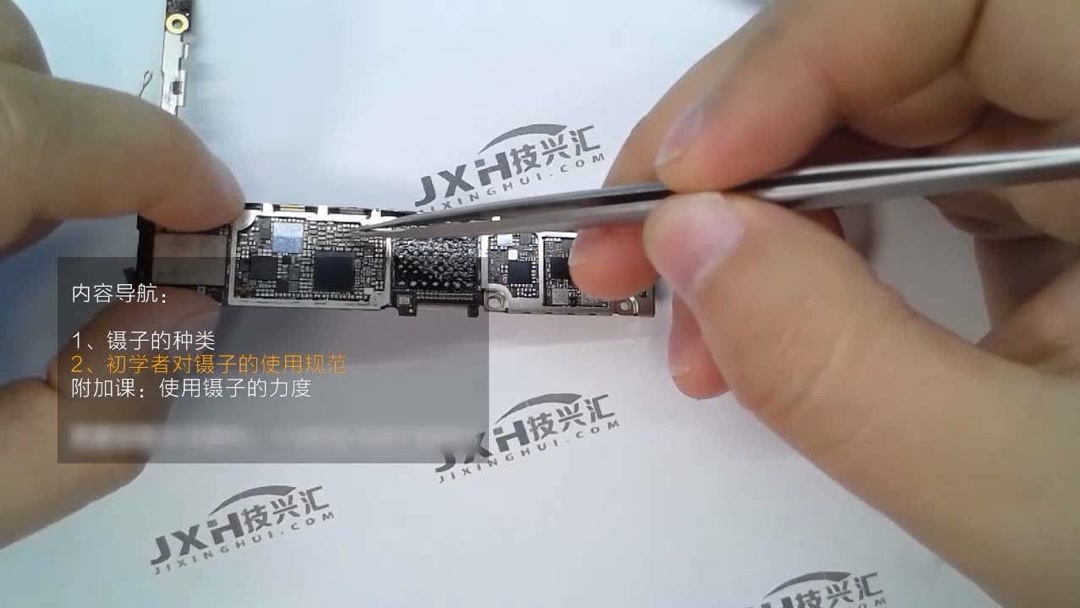 初学者对镊子的使用规范