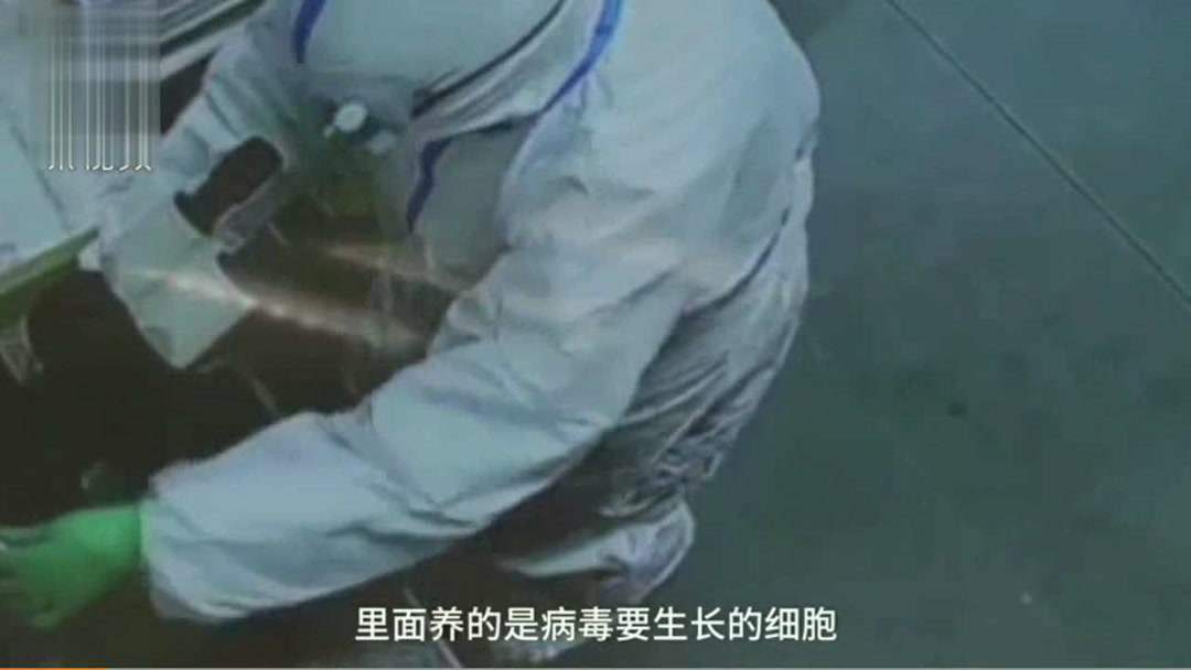 专家说,成功分离到新型冠状病毒毒株,为开发疫苗打下基础