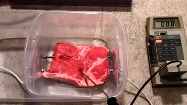 生肉经过电击之后会怎样?老外亲自测试,网友:安全用电保护你