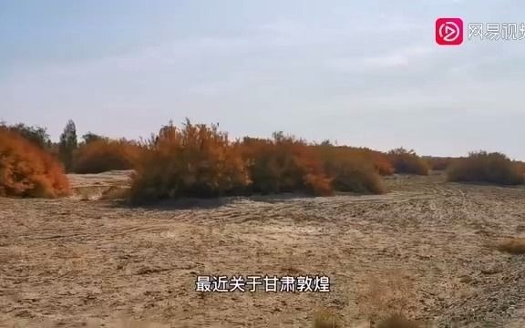 同为三北防护林,这片沙漠防护林与甘肃敦煌阳关林场形成鲜明对比