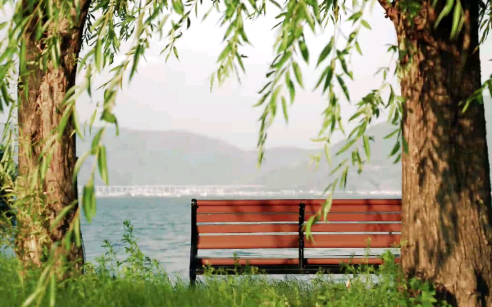 年轻人 别把自己绷的太紧 适当的松弛一下 没什么坏处