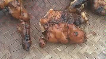 一个下午才挖了一点点,土茯苓和五指毛桃