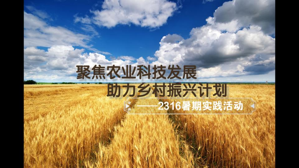 开封高中2316班暑期实践活动