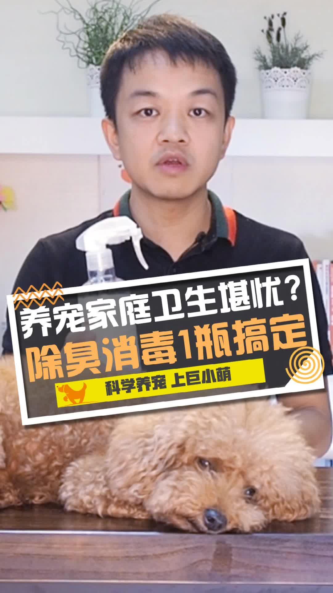 ...消毒1瓶搞定!#狗狗 #科学养宠攻略 #铲屎官的乐趣 #萌宠日常记录 #...