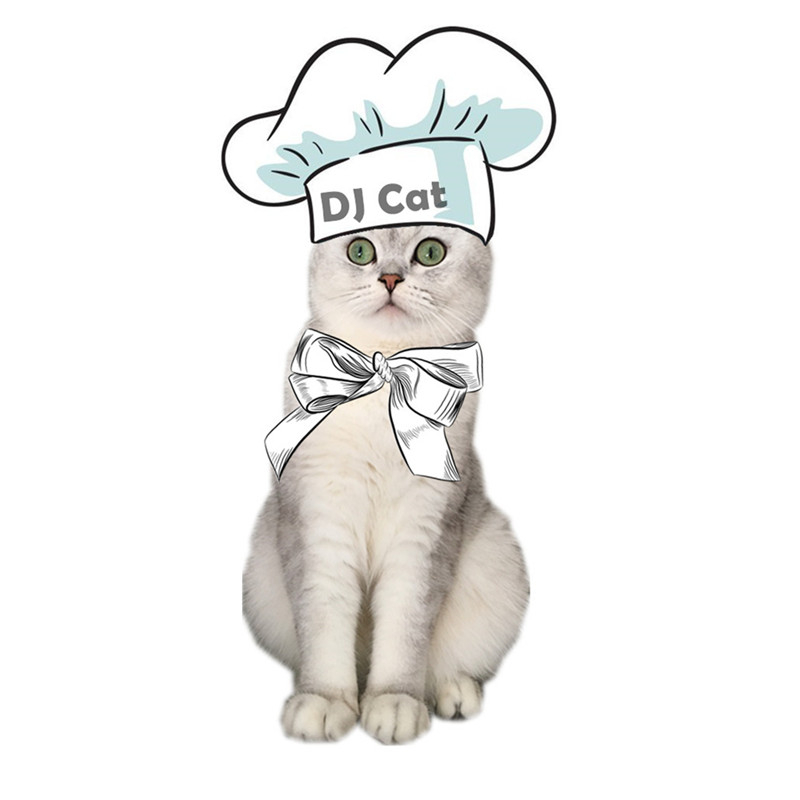 小静的厨房和猫 