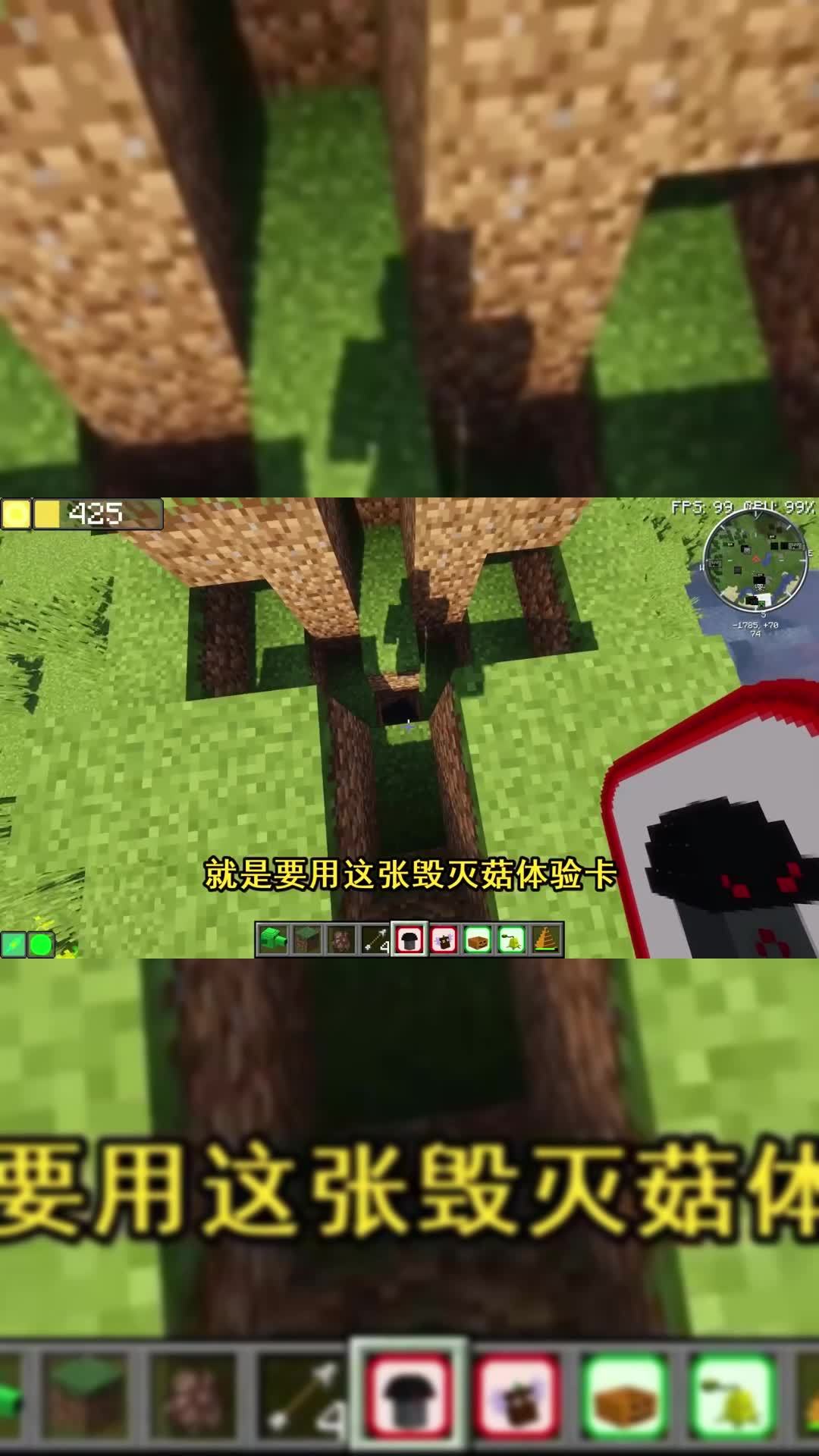 我的世界:植物大战MC毁灭菇!