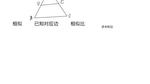 相似三角形判定