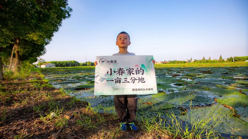 小朋友为我代言#鸡头米#手拨 #人类高质量居家健康术
