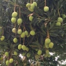 喜欢吃炸鸡de北堂蕙兰 