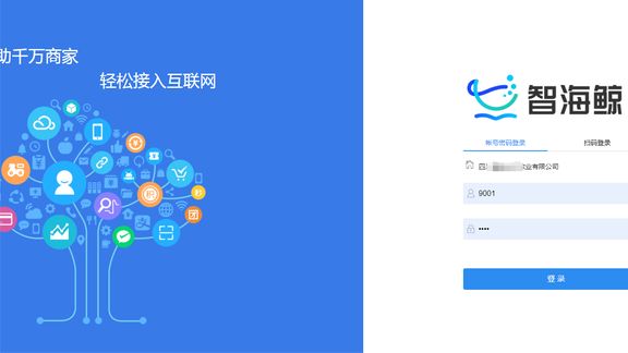 智海鲸短视频72-门店收支汇总&门店收支明细