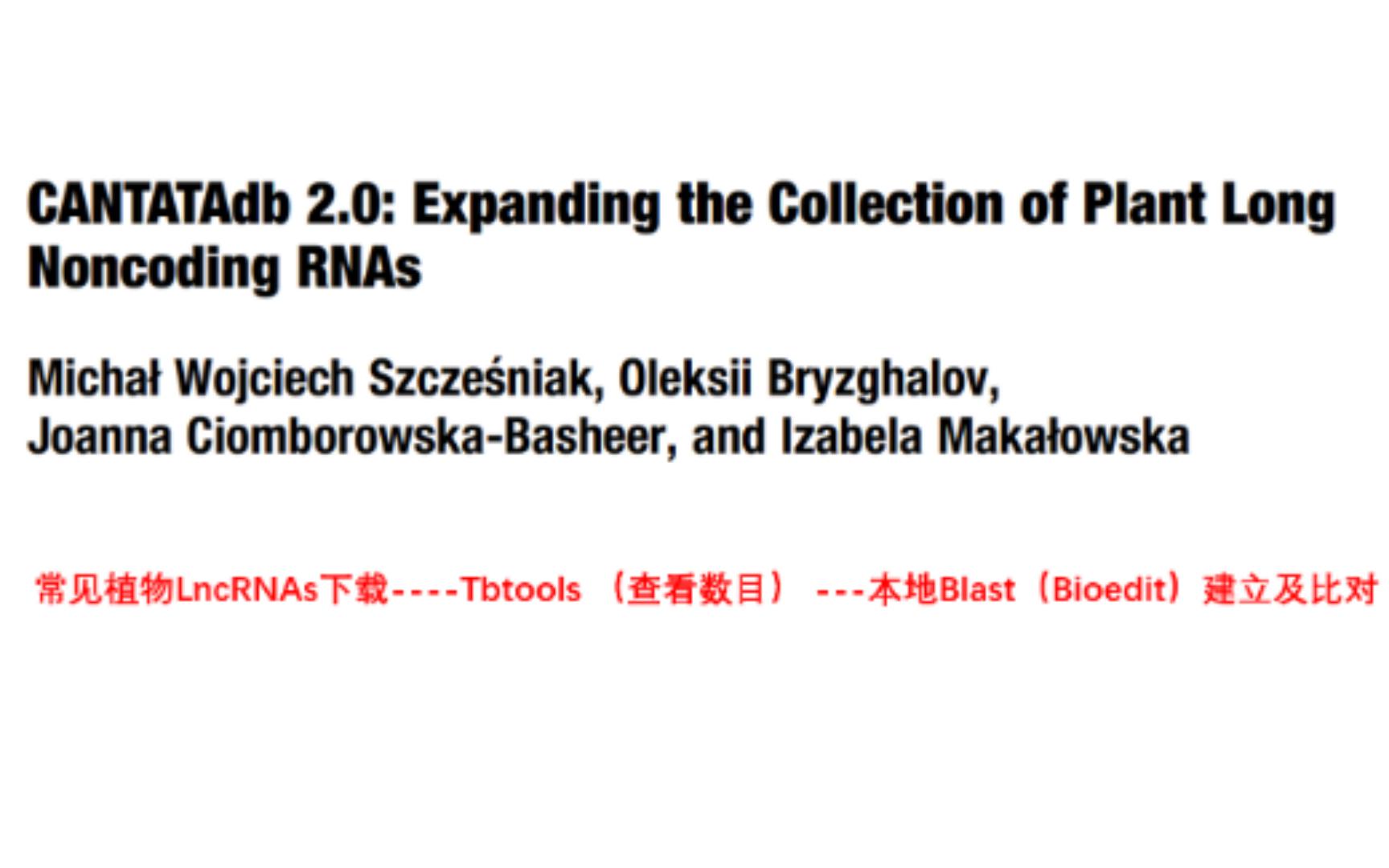 常见植物LncRNAs下载--Tbtools (查看数目) ---本地Blast(Bioedit)建立及...