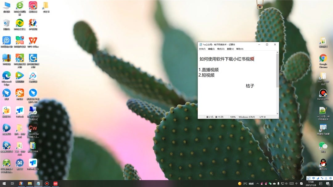 如何在电脑小红书上下载视频呢桔子网络技术