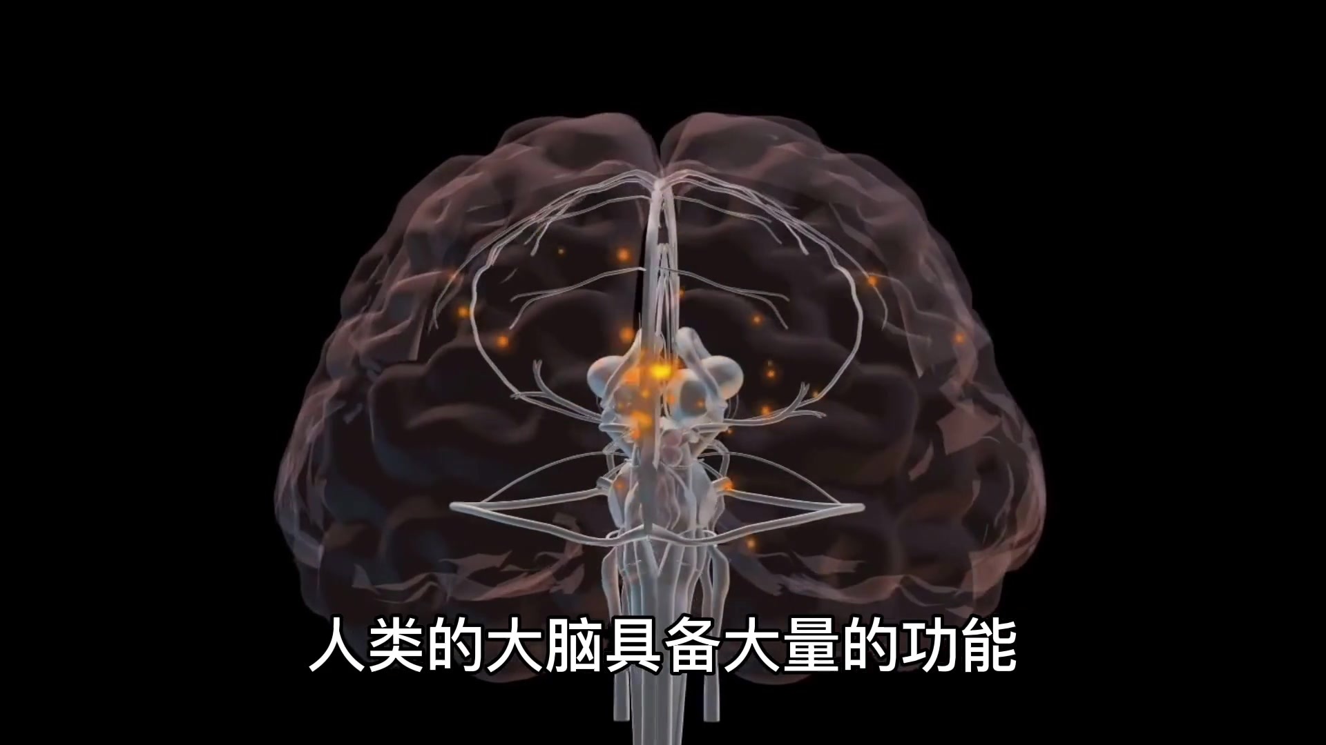 不可思议!人类大脑的存储量可能只有几百兆,连老式电脑都不如