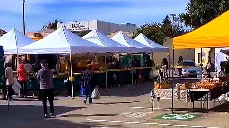 美国的华人:我在美国生活,真搞不懂现在的美国人啊!