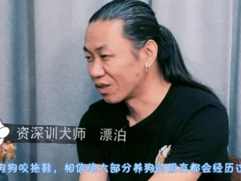 狗为什么喜欢咬拖鞋?训犬有料09期