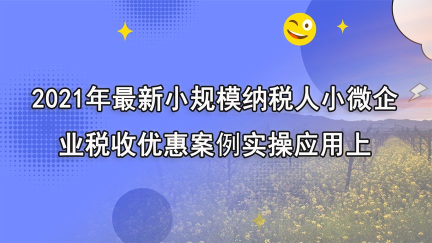 2021年最新小规模纳税人小微企业税收优惠案例实操应用上【转载】