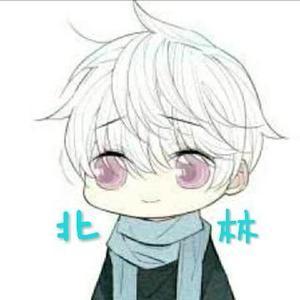 北林Beilin 