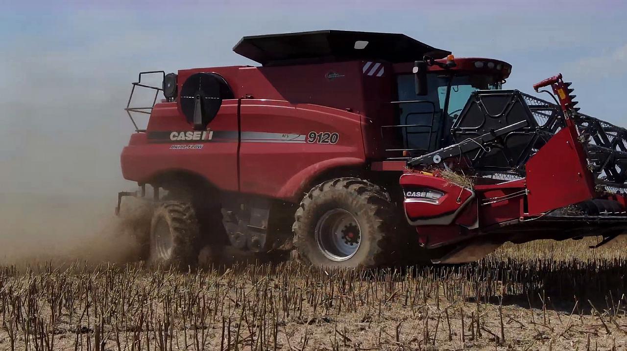 航拍农机作业队在农场收割油菜,欣赏农业生产中的机械美学