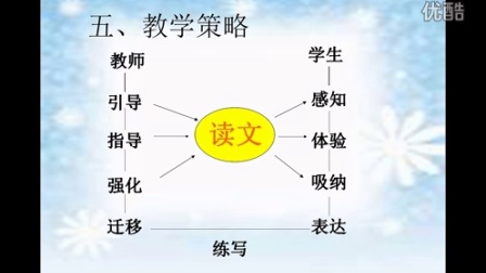 小壁虎借尾巴微课