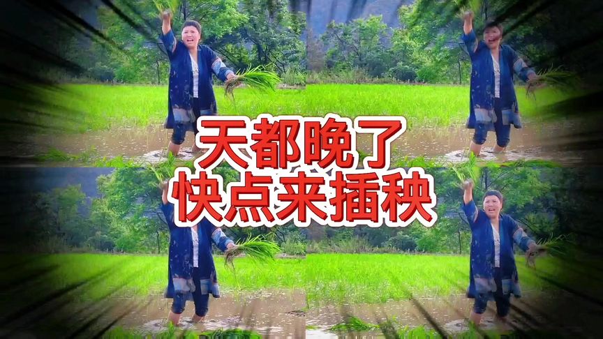 办好旅发会,一起向未来!我在张家界武陵源二丫头客栈等你