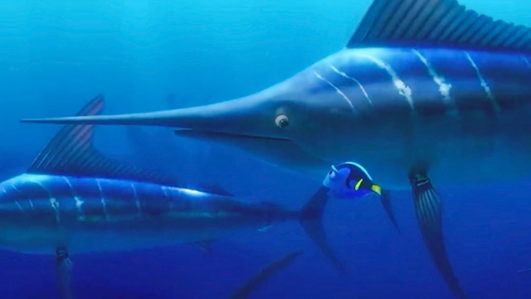 海底总动员:换上短期失忆症,热带鱼找不到家,一路流浪前行