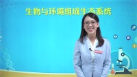 生物七年级上册 人教版 第4集 生物与环境组成生态系统
