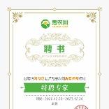 酷友1658922009525305 