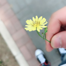 信息流投放优化 