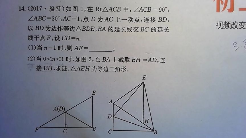 初二全等三角形知识点,很重要