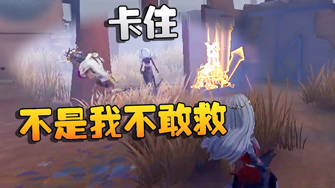 第五人格:大帅观战!前锋:不是我不敢救,被卡住了