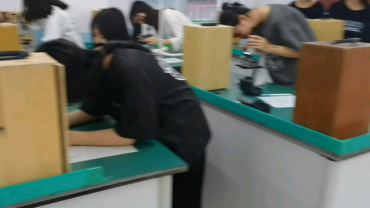 农村初中的生物实验操作