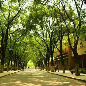 小龙酱的大学生活 