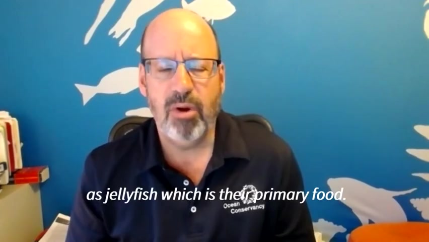 2020年疫情全面爆发后,全球目前都笼罩在疫情危机下,口罩成为新的...