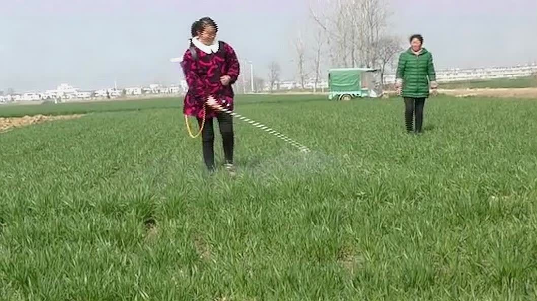 田间杂草让人头疼,这些常用的除草剂,你都知道吗?
