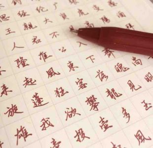 笑笑老师的课堂 