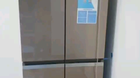 双开门的大冰箱储存能力就是强