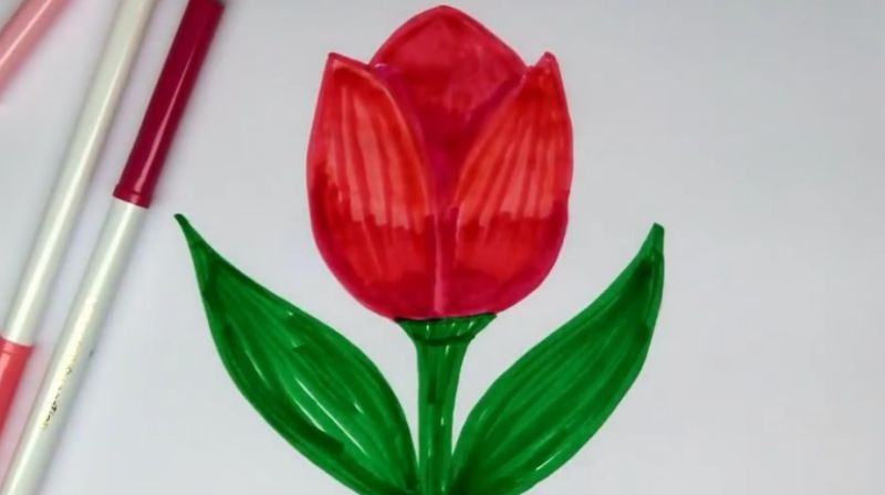 适合宝宝的彩色简笔画,一束百合花,画起来是如此简单!