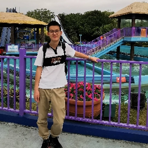 萌新小辉鸡 