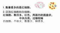 七年级生物《流动的组织-血液》黑龙江李龙华V3