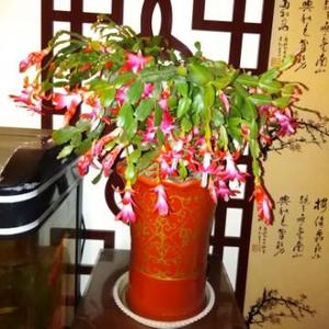 呵护人生闲聊 