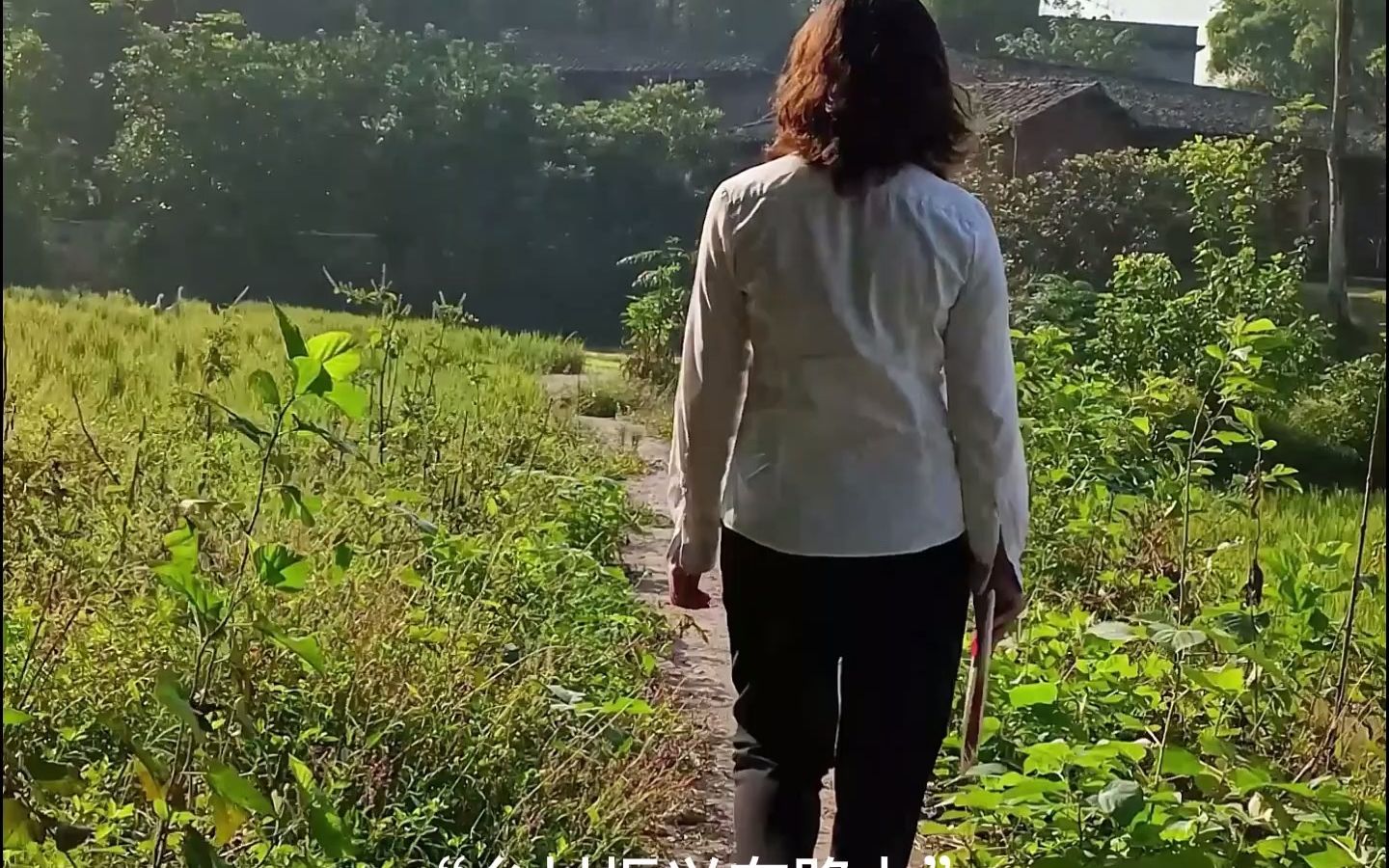 4、志愿服务项目视频