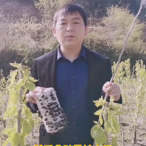 岳西县思远生态农业 