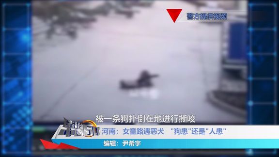 8岁女童路上走突遭恶狗撕咬,狗患还是人患?画面令人揪心