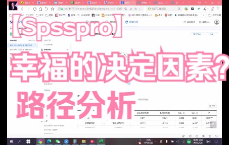 spsspro 路径分析之分析如何幸福