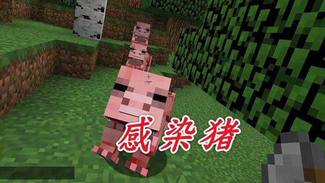 我的世界尸潮生存02:猪被寄生虫感染,人都要咬
